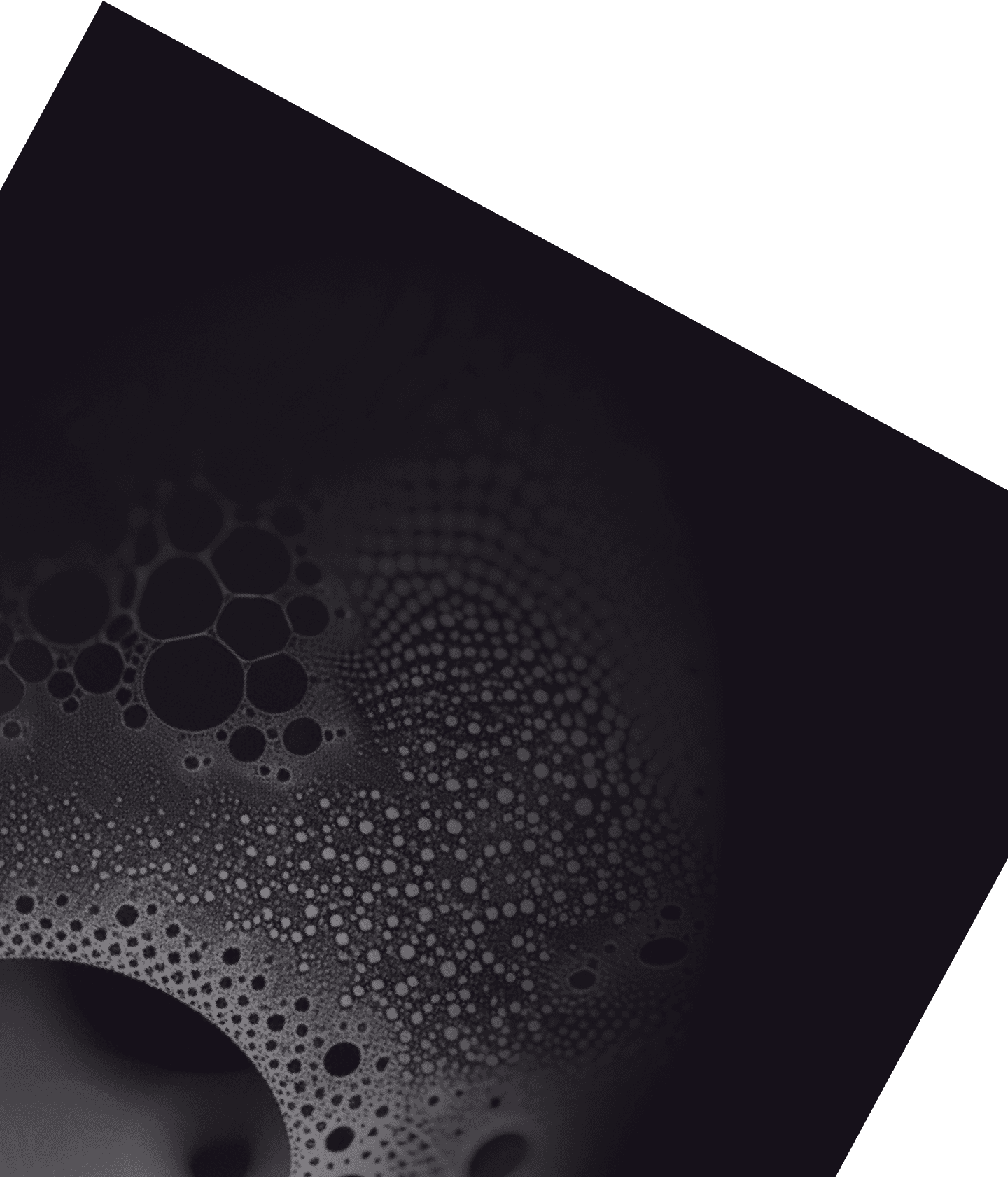 Coasys - A Digital Nervous System for the Wise Web